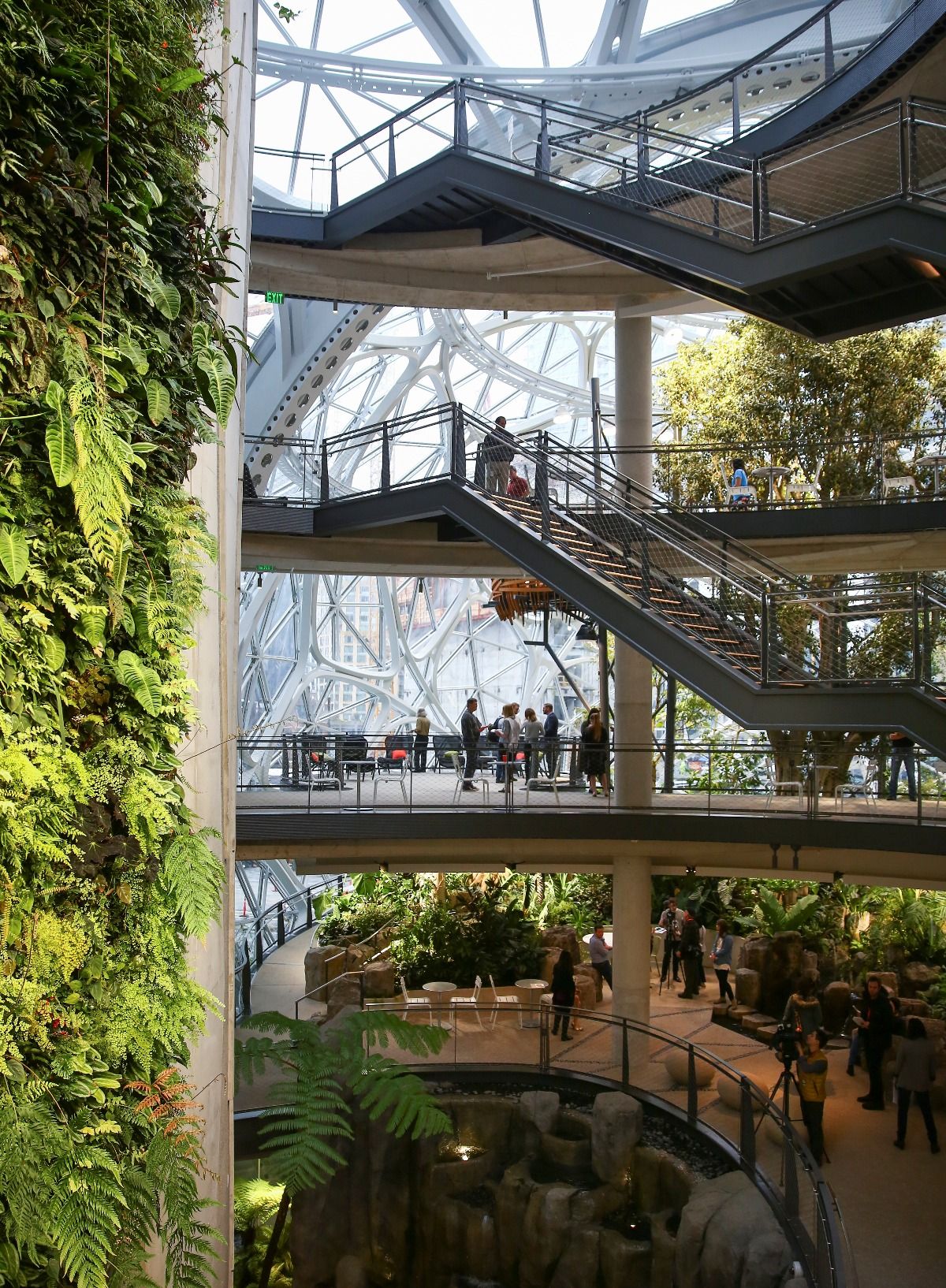 Amazon.com opens its own rainforest in Seattle | Reuters