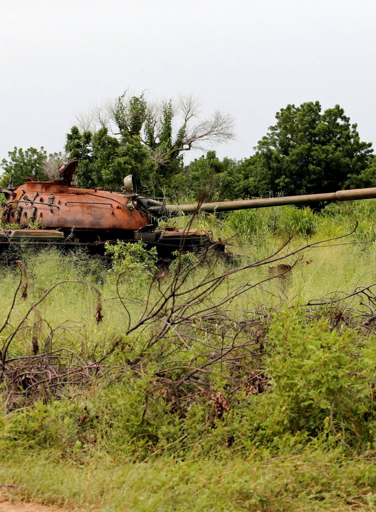 Militant attack on farm in northern Nigeria leaves 40 dead - sources ...
