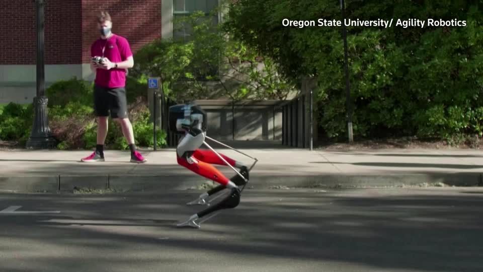 Very slow Oregon robot sets a running record | Reuters