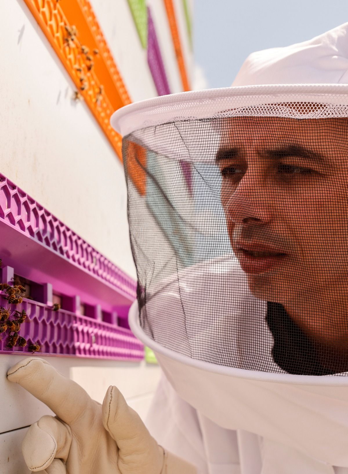 How a robotic beehive swarmed onto the market