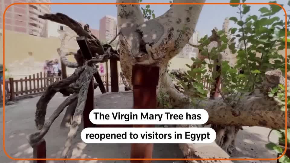 Egypt reopens site of ancient Virgin Mary Tree