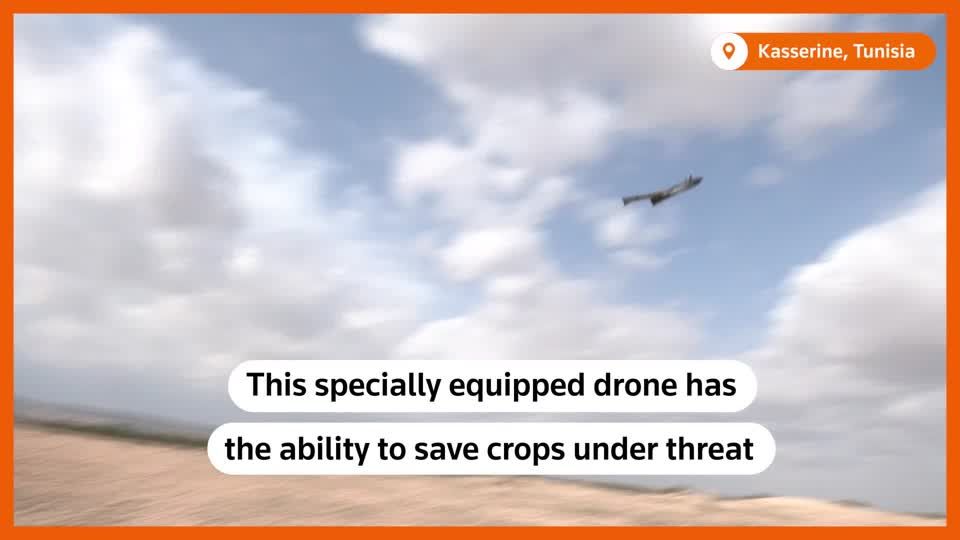 Tunisia uses drones for sustainable agriculture