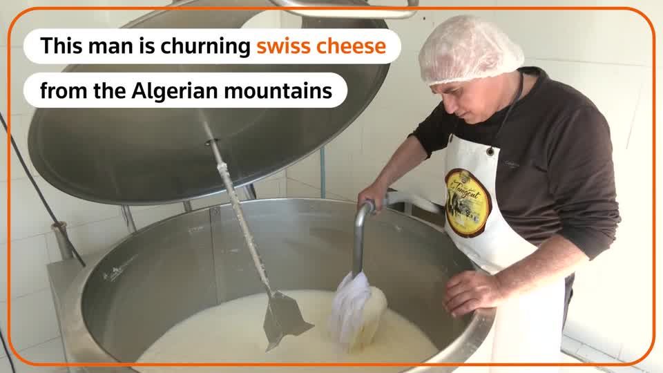 The man churning swiss cheese in Algeria