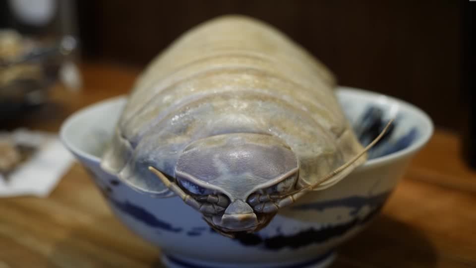 Giant isopod noodles tempt brave Taipei diners | Reuters