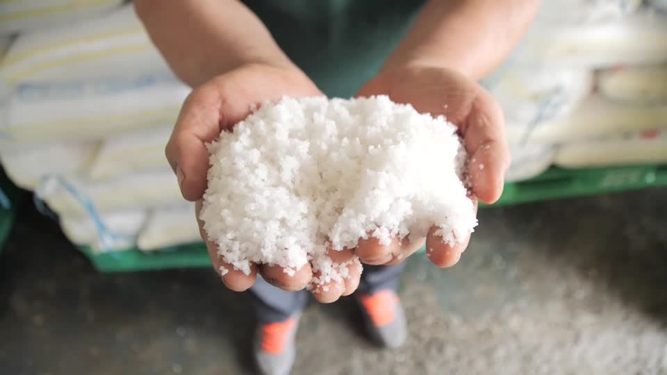South Korea sea salt demand grows ahead of Japan's Fukushima ...