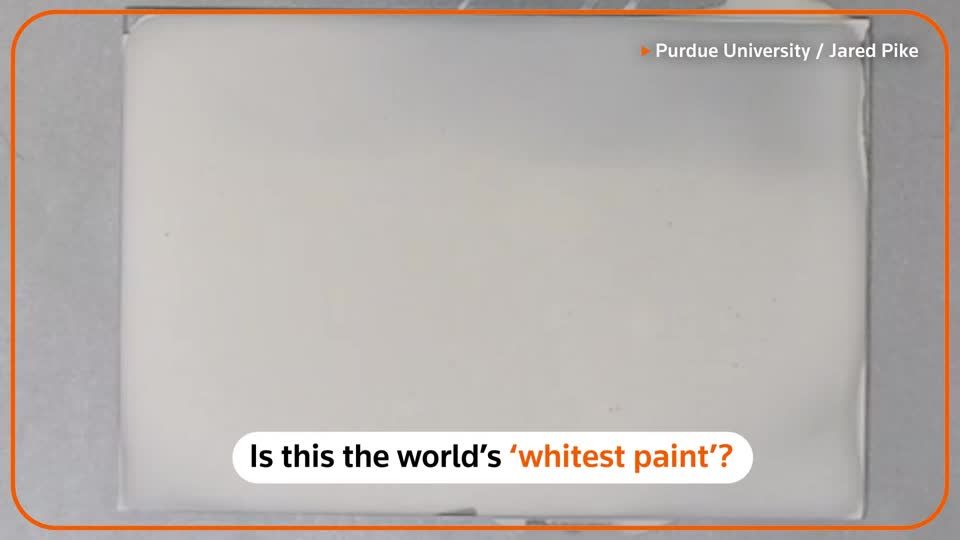 World's ‘whitest paint’ could help cool the planet