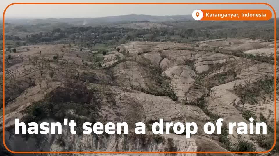 Indonesian villagers dig up dry river bed in drought