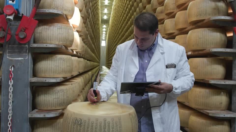 Italian cheese makers fight fakes with microchips