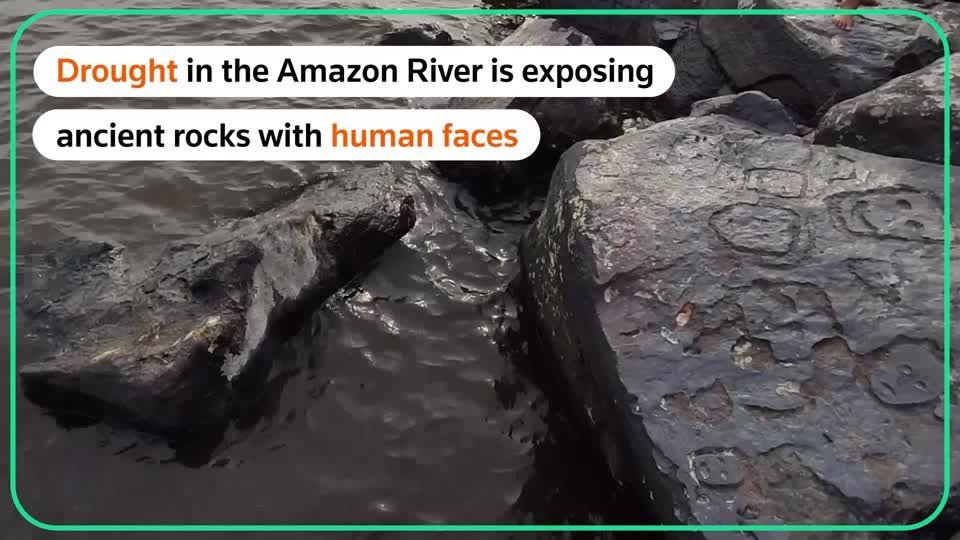 Amazon Rainforest Rocks