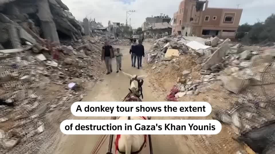 Donkey tour shows destruction in Gaza's Khan Younis | Reuters