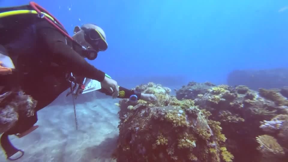 Home - Rory Fielding Films