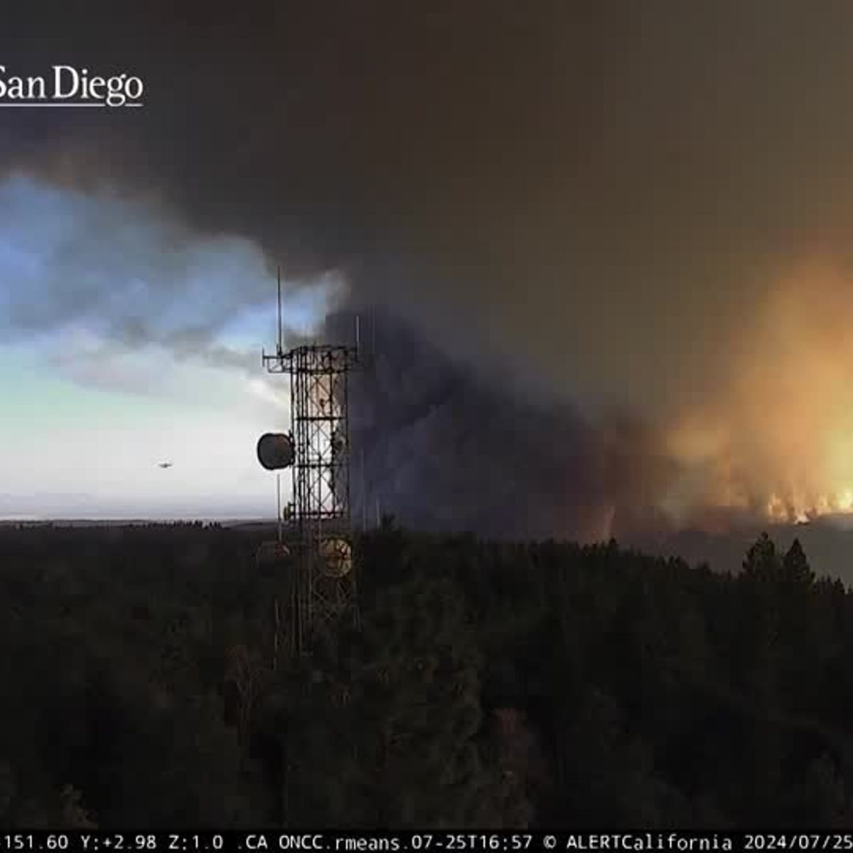 Reuters Video