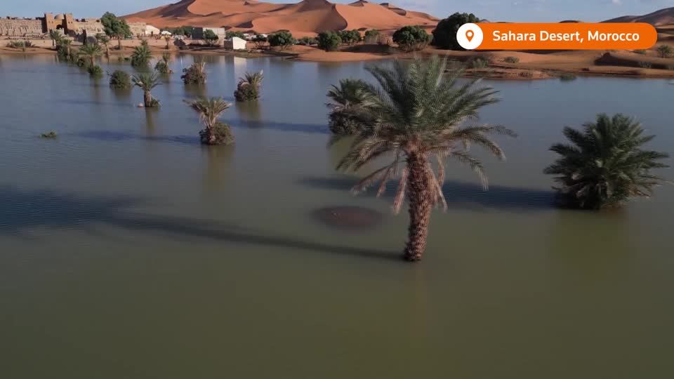 Drone footage shows Sahara floods after rare desert rainfall | Reuters