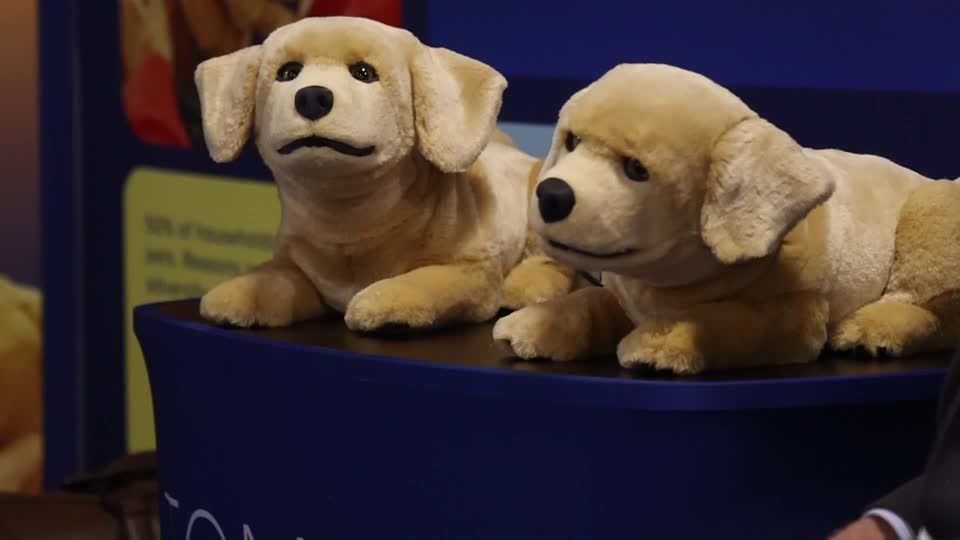 Robot dog meant to comfort dementia patients turns heads at CES | Reuters