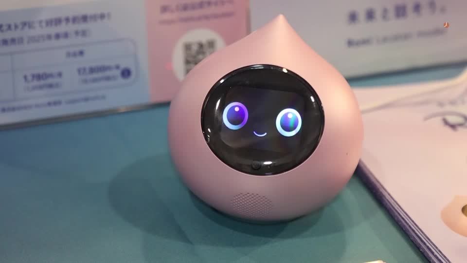 Emotional support robot helps combat isolation and depression | Reuters