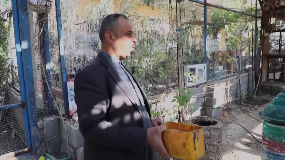 Iraqi bird lover transforms his hobby into a business | Reuters