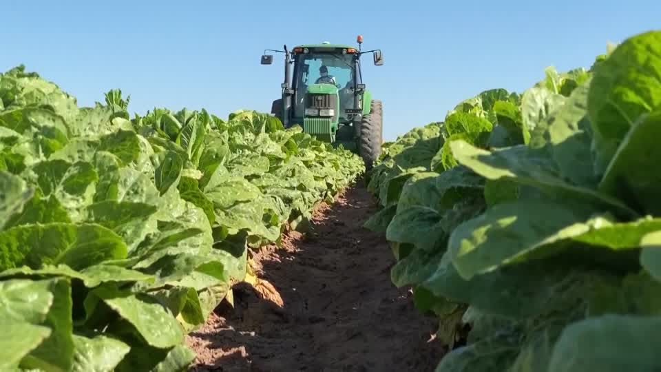 Trump spending cuts 'devastating' to many US farmers | Reuters