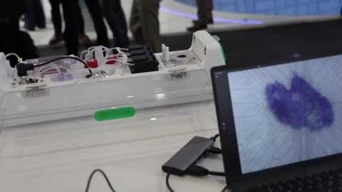 This computer runs on living human brain cells