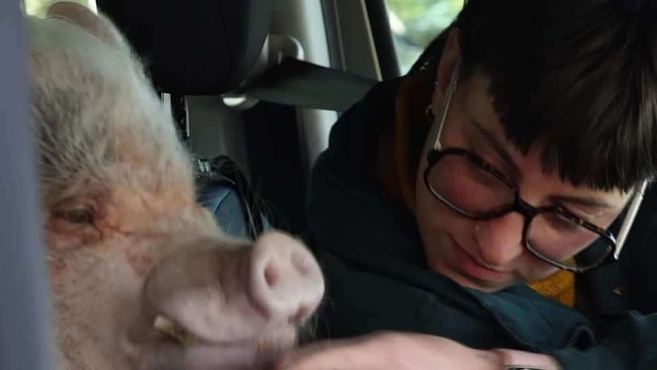 French woman takes pet pigs to work to challenge meat-eater mindset | Reuters