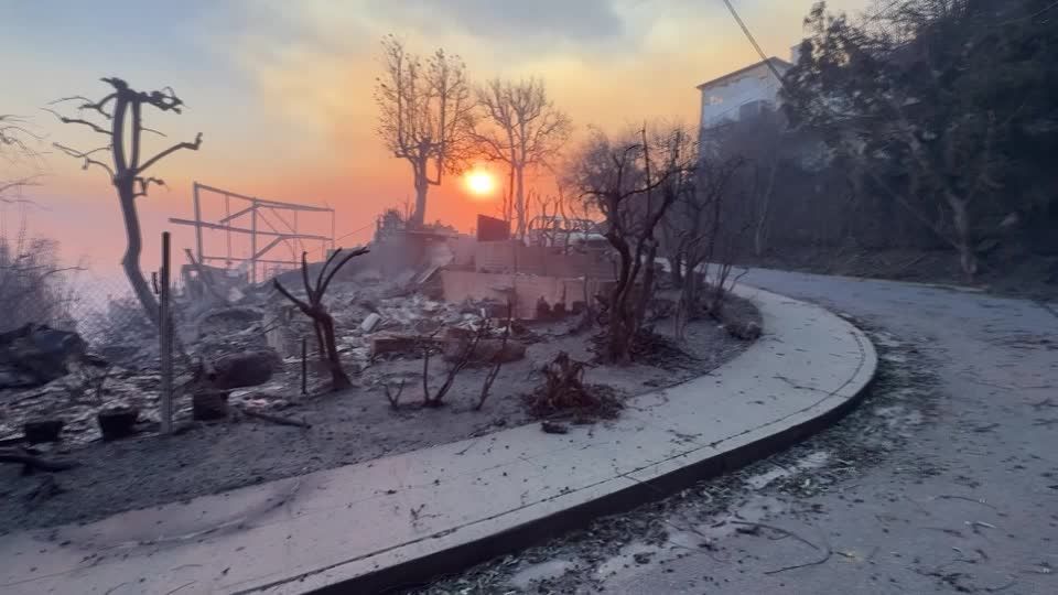 How AI models may forecast the world's next wildfires