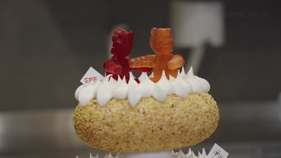 This 'RoboCake' runs on chocolate-encased edible batteries | Reuters