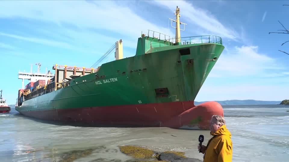 Cargo ship refloated after narrowly missing Norwegian man's home | Reuters