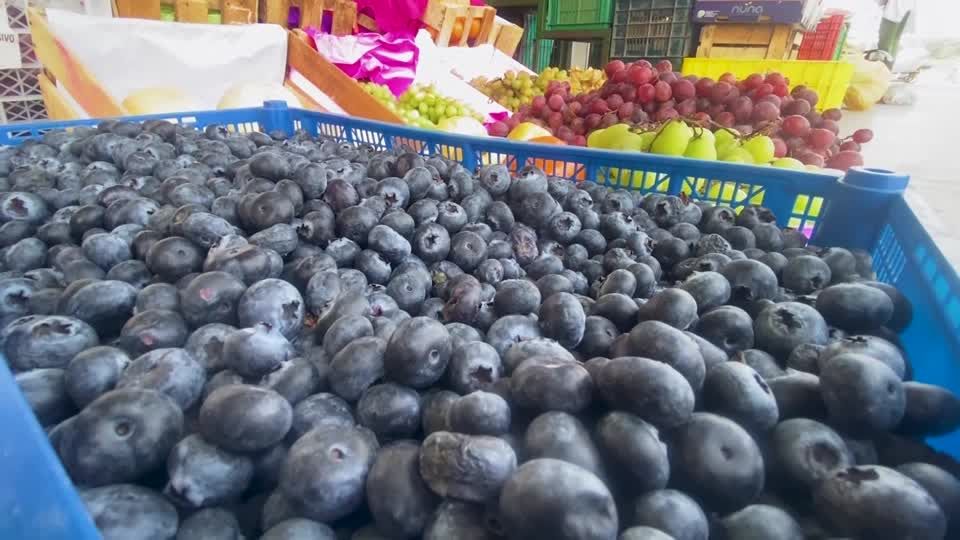 Peru, the US's top blueberry supplier, looks to China as tariffs hit ...