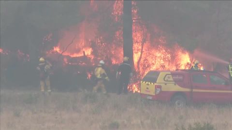 Wildfires News | Today's Latest Stories | Reuters