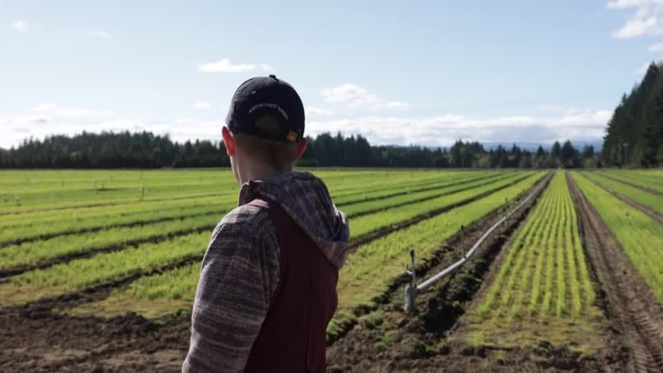 Tree nursery promotes growth amid Trump order targeting forests | Reuters