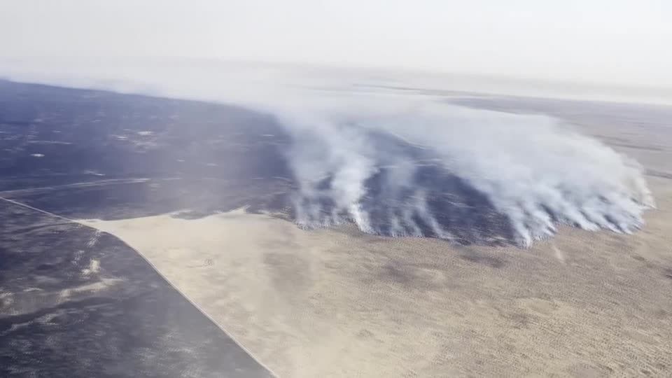 Namibia's tourism expected to decline after wildfire in game reserve ...