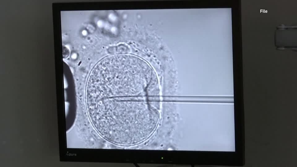 Trump, Merck cut IVF drug costs in tariff relief deal | Reuters