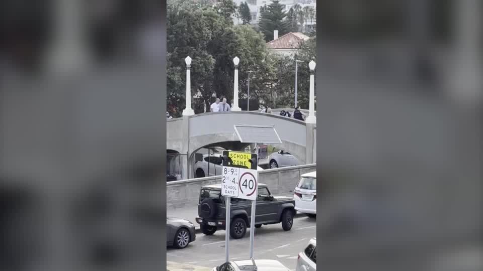 Police and public scuffle on bridge after Sydney shooting suspects shot ...