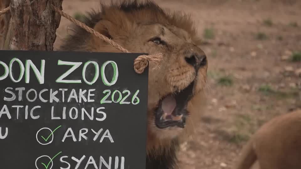 London Zoo begins annual stocktake of over 8,000 animals | Reuters