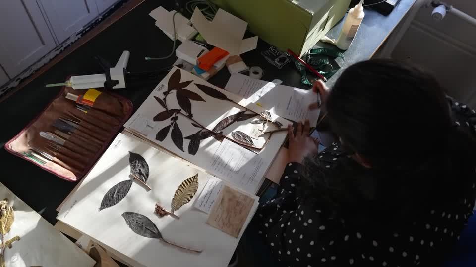 Sustainable Business