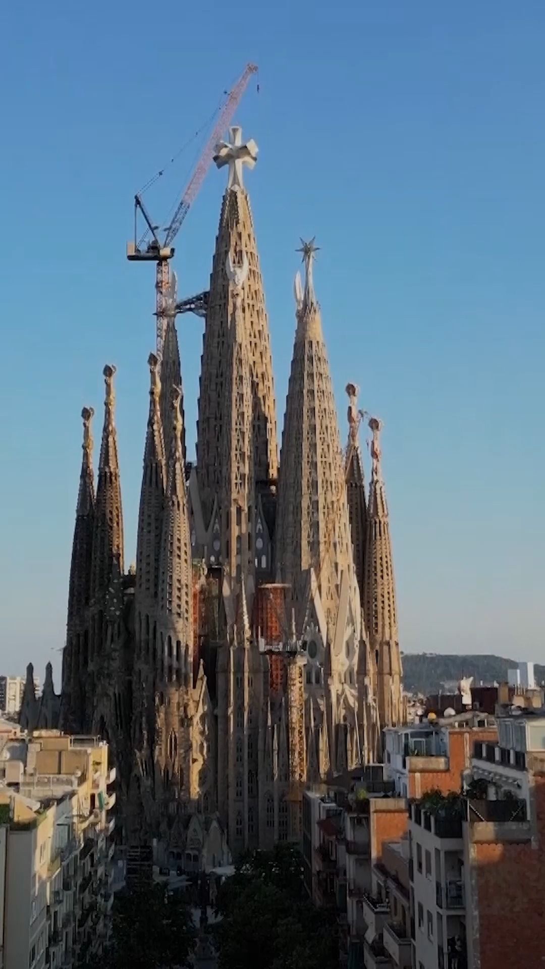 Sagrada Familia to host Pope visit as Gaudi’s vision continues | Reuters