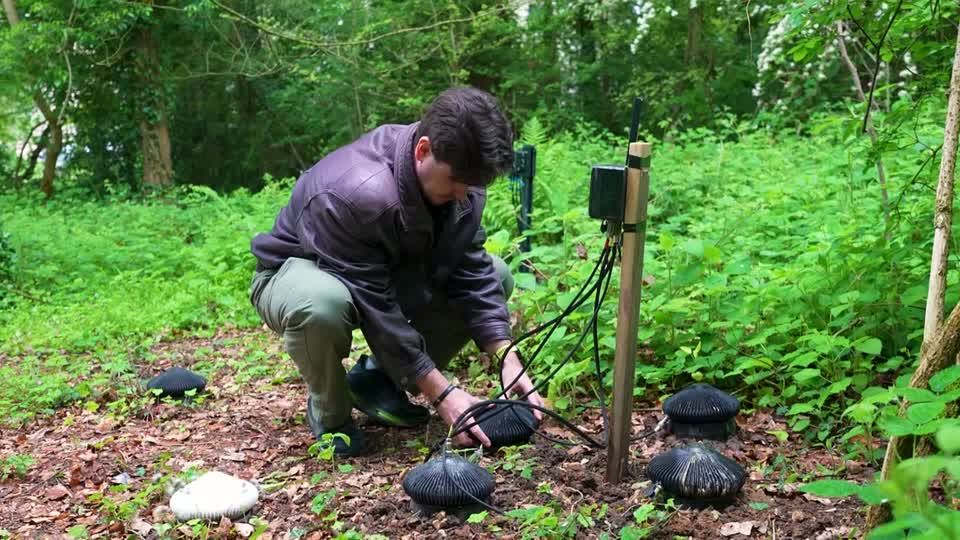 How a British startup is drawing electricity from bacteria | ロイター