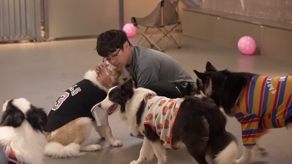 China's puppy preschools thrive as pet owners splurge on services | Reuters